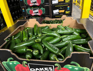 Our Partner Farms – South Florida Produce