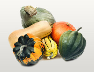 Our Partner Farms – South Florida Produce